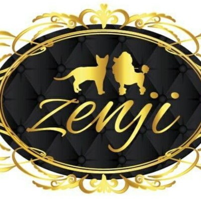 Zenji, ร้านค้าออนไลน์ | Shopee Thailand