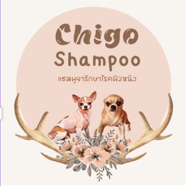 BL shampoo, ร้านค้าออนไลน์ | Shopee Thailand