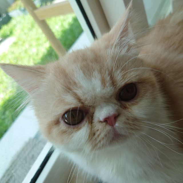 FF_ShopStore, ร้านค้าออนไลน์ | Shopee Thailand