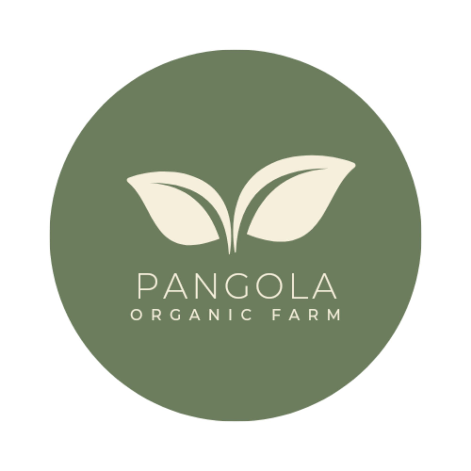 Pangola grass.byNN, ร้านค้าออนไลน์ | Shopee Thailand