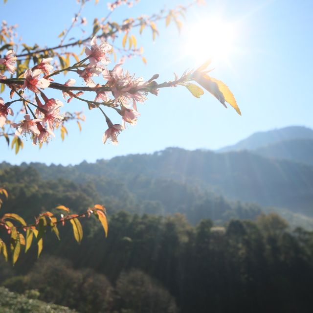 Charon Store, ร้านค้าออนไลน์ | Shopee Thailand