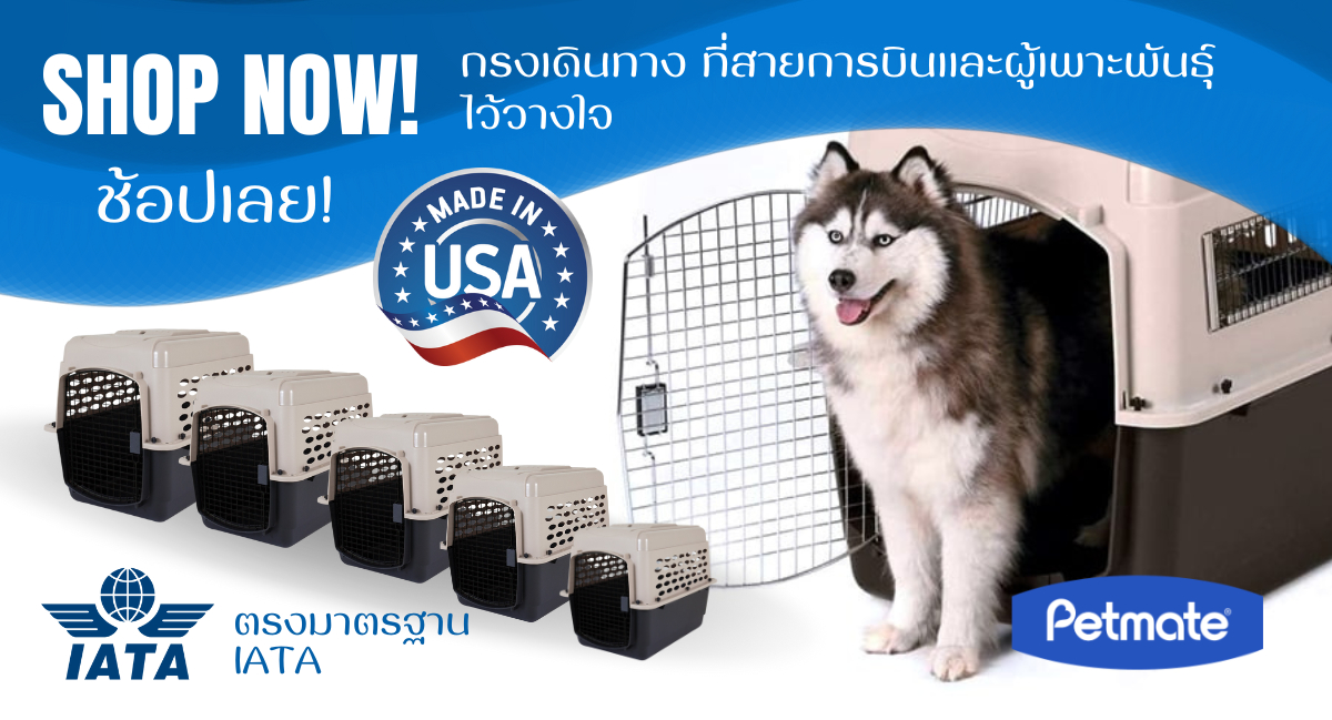 สั่งซื้อสินค้าออนไลน์จาก Shamu Official Store | Shopee Thailand