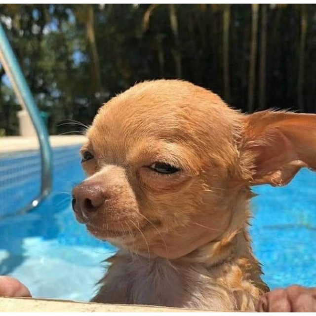 warz_appyz, ร้านค้าออนไลน์ | Shopee Thailand