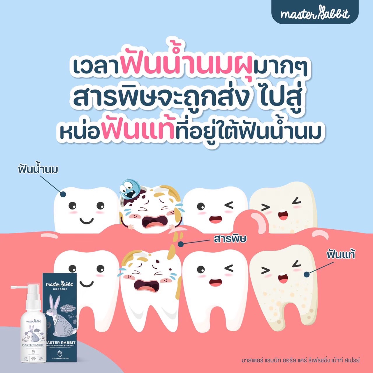 Master Rabbit TH, ร้านค้าออนไลน์ | Shopee Thailand