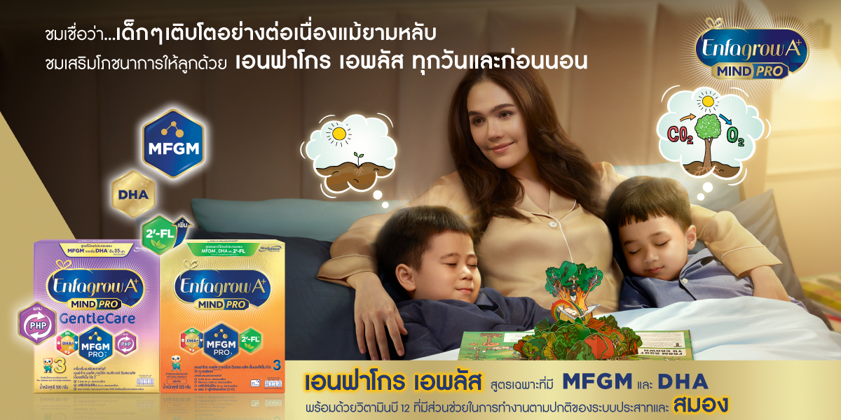 สั่งซื้อสินค้าออนไลน์จาก Enfa Official Shop | Shopee Thailand