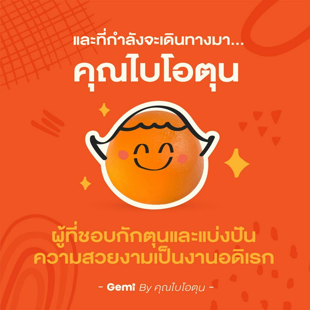 GemiGummi, ร้านค้าออนไลน์ | Shopee Thailand