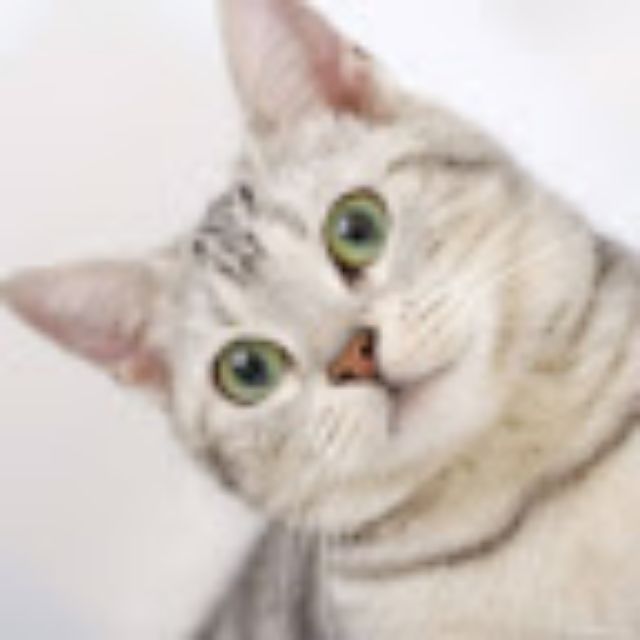 ZENDO-shop, ร้านค้าออนไลน์ | Shopee Thailand