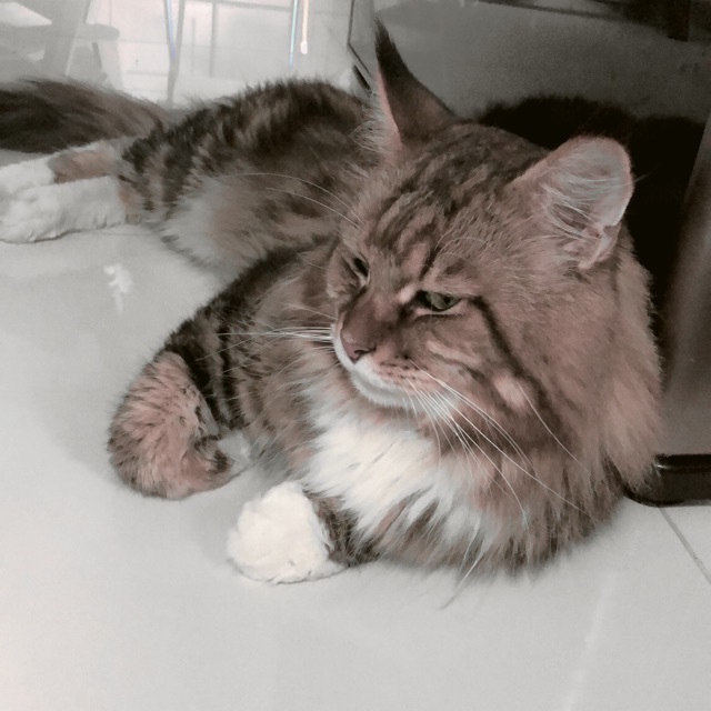 sujaree_k, ร้านค้าออนไลน์ | Shopee Thailand