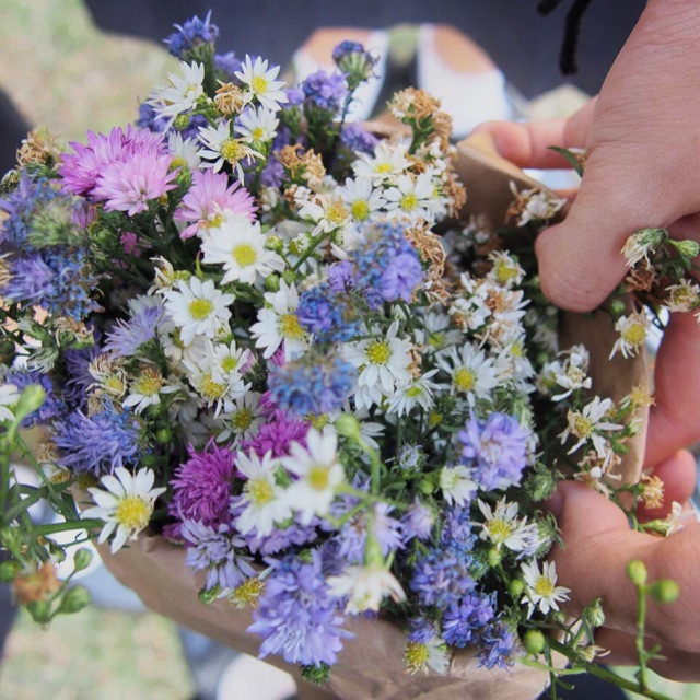 Unda_undaa, ร้านค้าออนไลน์ | Shopee Thailand