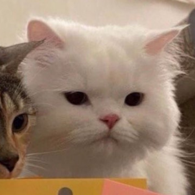 arinya.juju, ร้านค้าออนไลน์ | Shopee Thailand