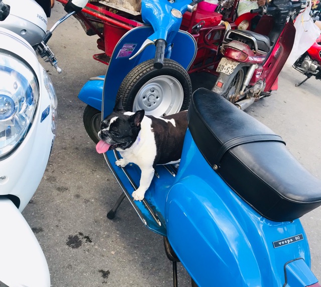 Ruby Shopping , ร้านค้าออนไลน์ | Shopee Thailand