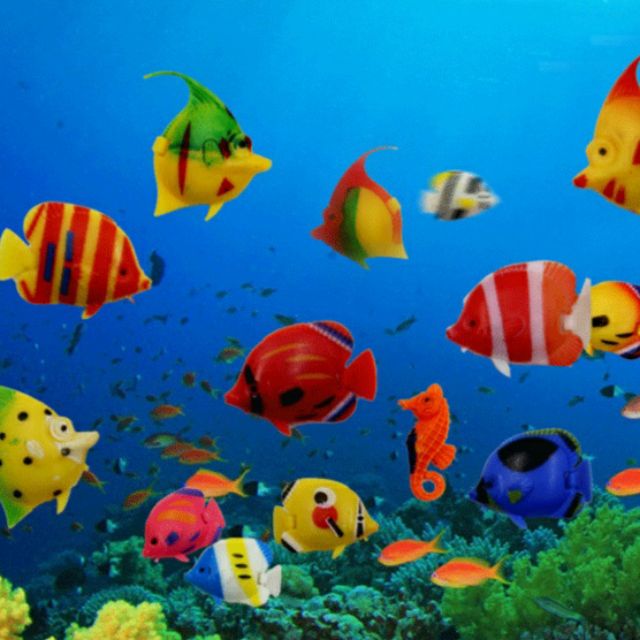 Fish mania, ร้านค้าออนไลน์ | Shopee Thailand