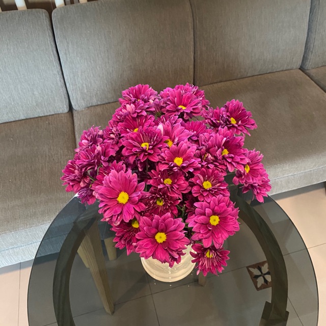 paw2526, ร้านค้าออนไลน์ | Shopee Thailand