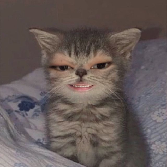 The Pijk, ร้านค้าออนไลน์ | Shopee Thailand