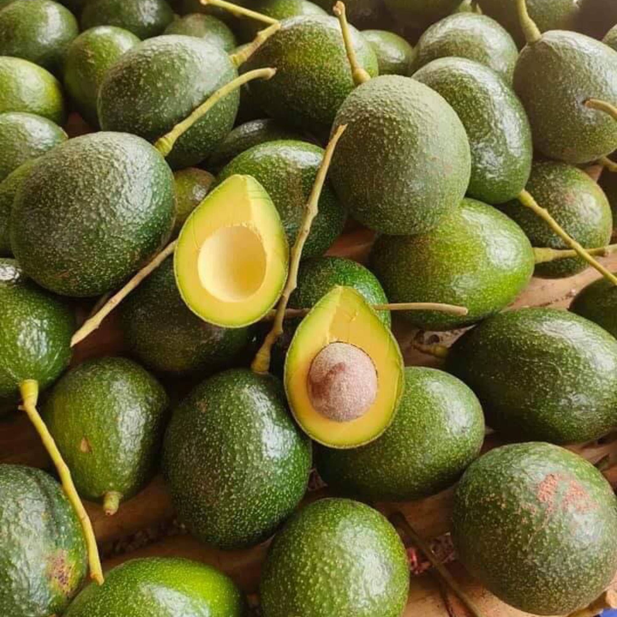 prim fruit shop, ร้านค้าออนไลน์ | Shopee Thailand