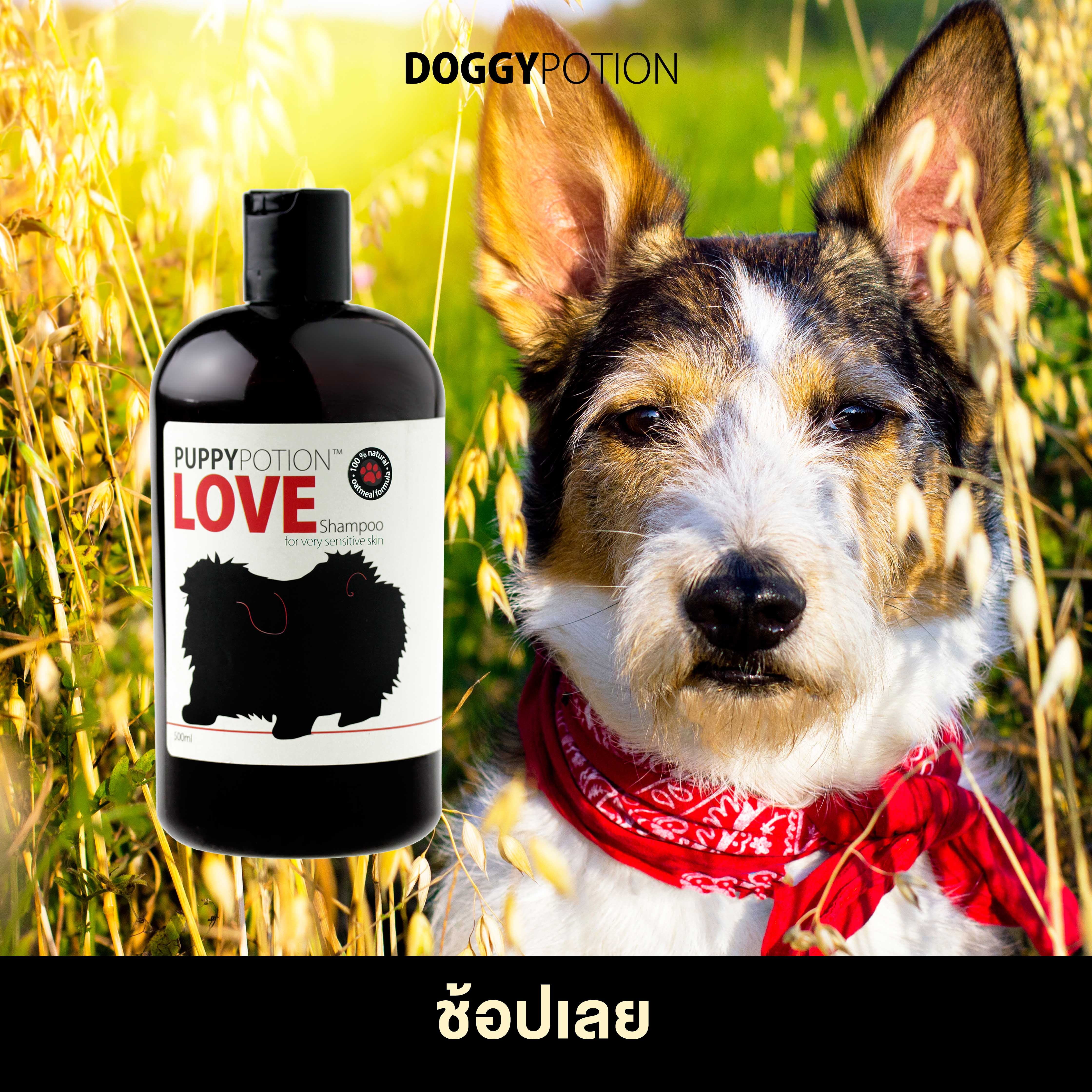 สั่งซื้อสินค้าออนไลน์จาก DOGGY POTION Official Store | Shopee Thailand