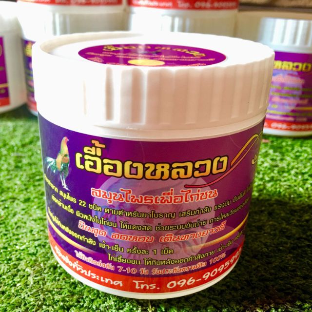 lida shop, ร้านค้าออนไลน์ | Shopee Thailand