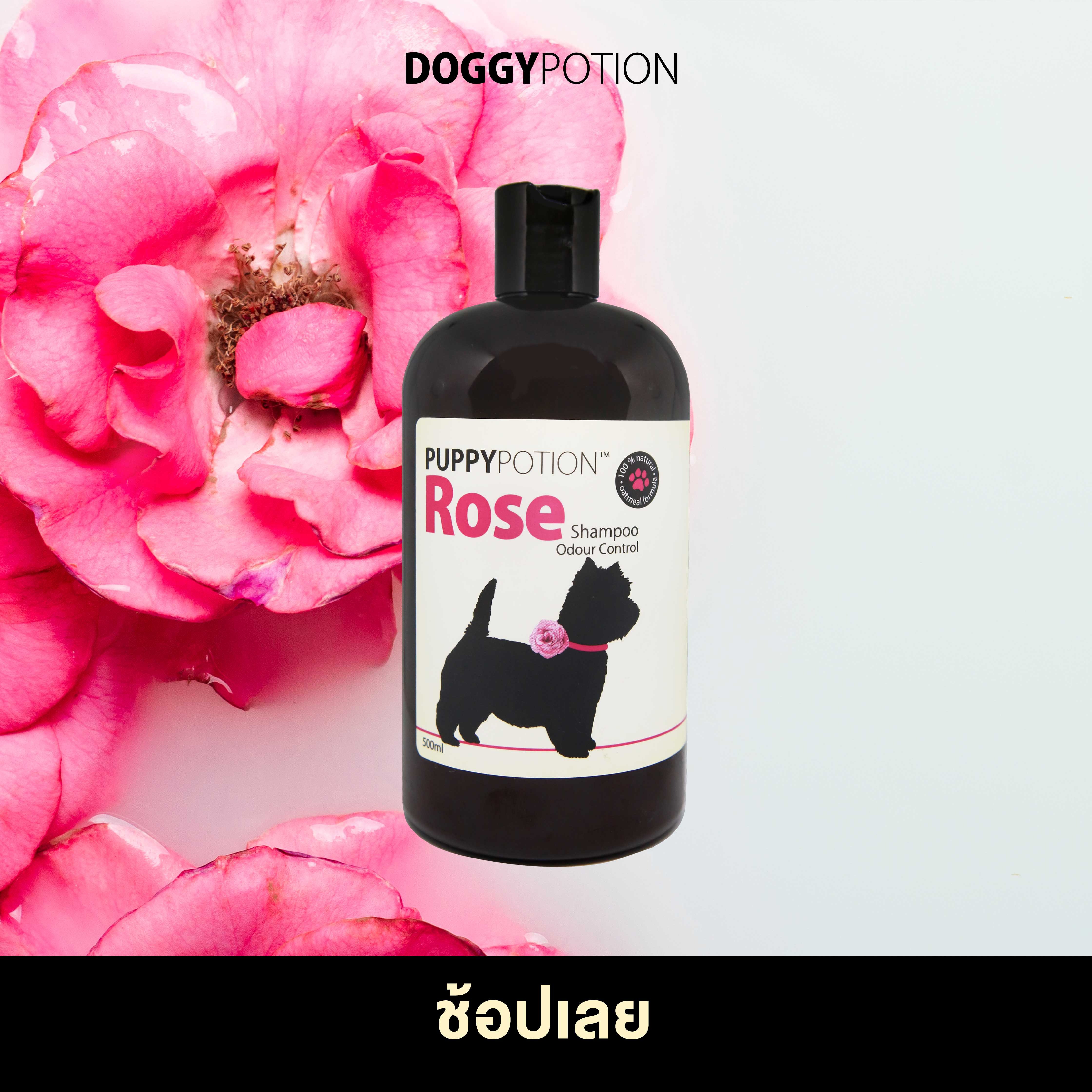 สั่งซื้อสินค้าออนไลน์จาก DOGGY POTION Official Store | Shopee Thailand
