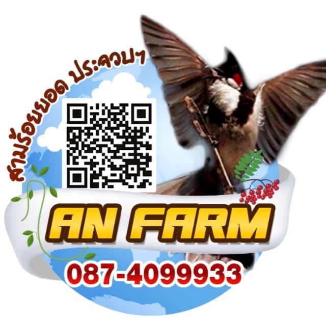 AnFarm, ร้านค้าออนไลน์ | Shopee Thailand