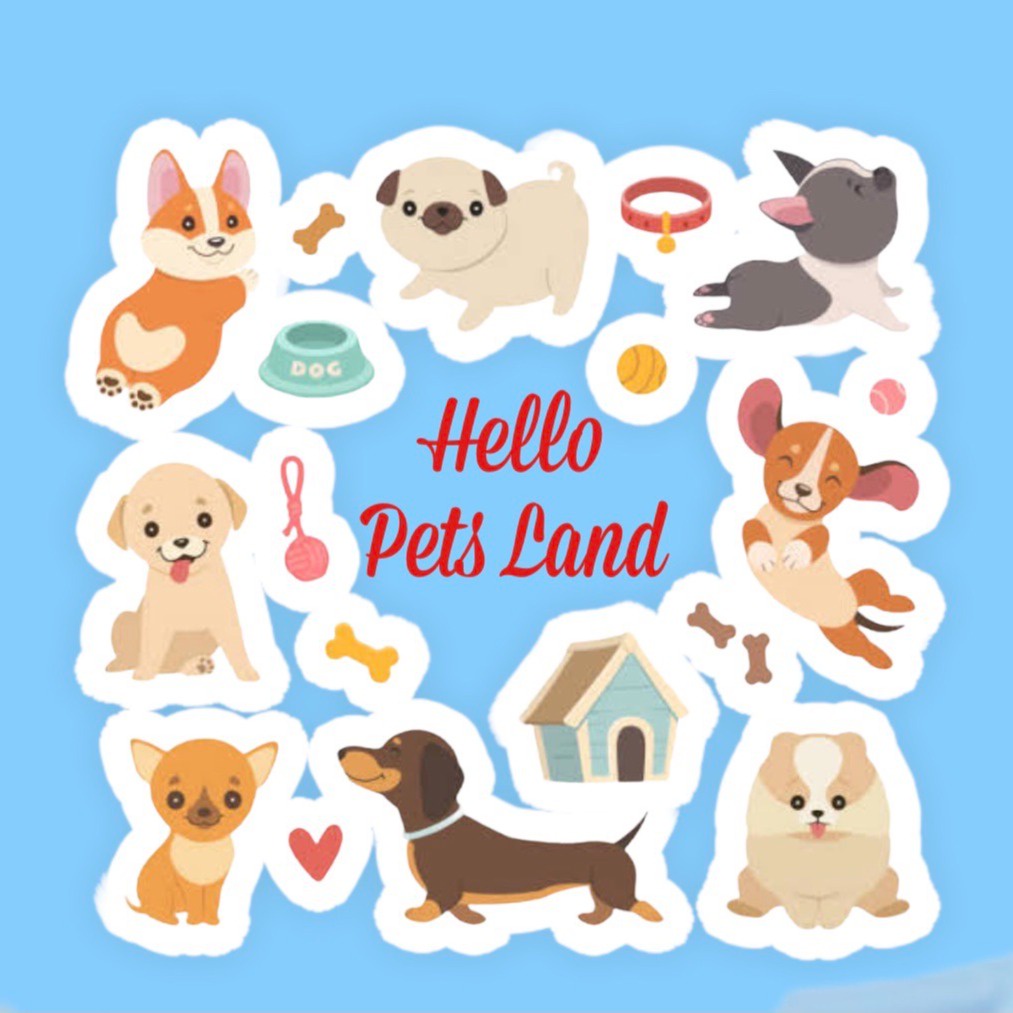 Hello Pets Land., ร้านค้าออนไลน์ | Shopee Thailand