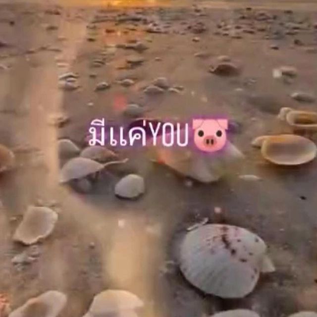 thiradr, ร้านค้าออนไลน์ | Shopee Thailand