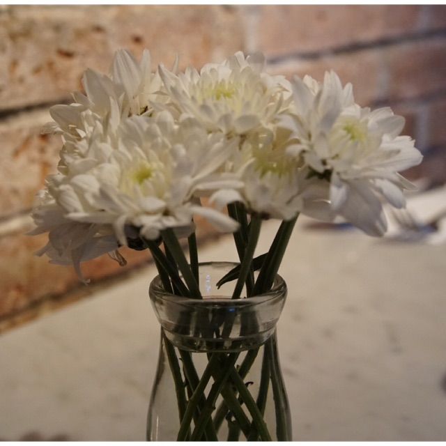 2nd_palm, ร้านค้าออนไลน์ | Shopee Thailand