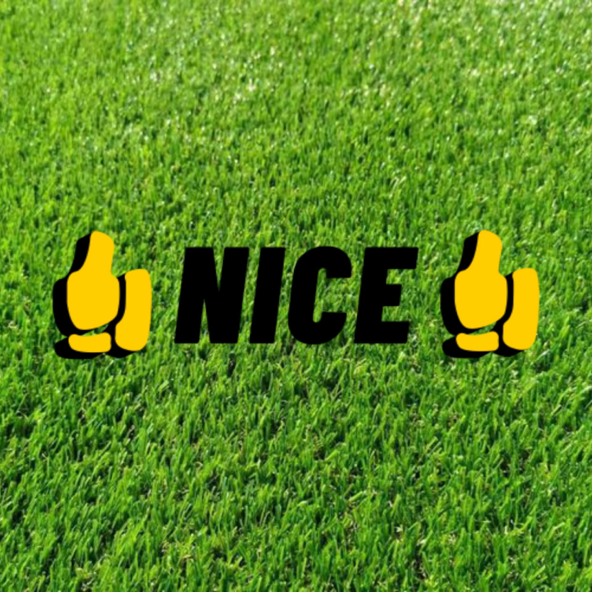 NICE SOCK, ร้านค้าออนไลน์ | Shopee Thailand