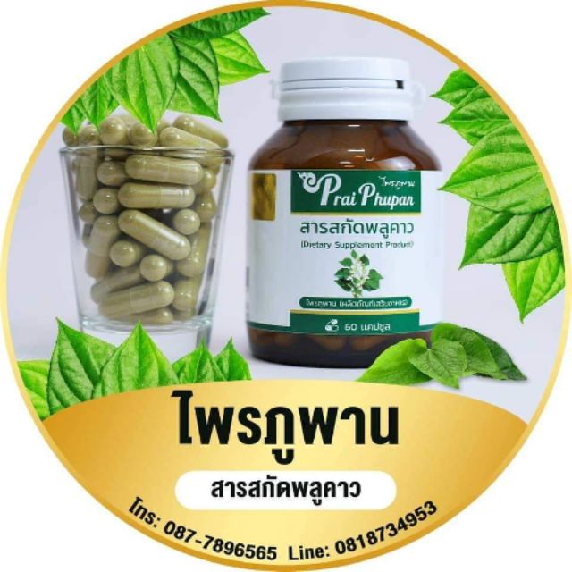 Prai Phu Pan, ร้านค้าออนไลน์ | Shopee Thailand