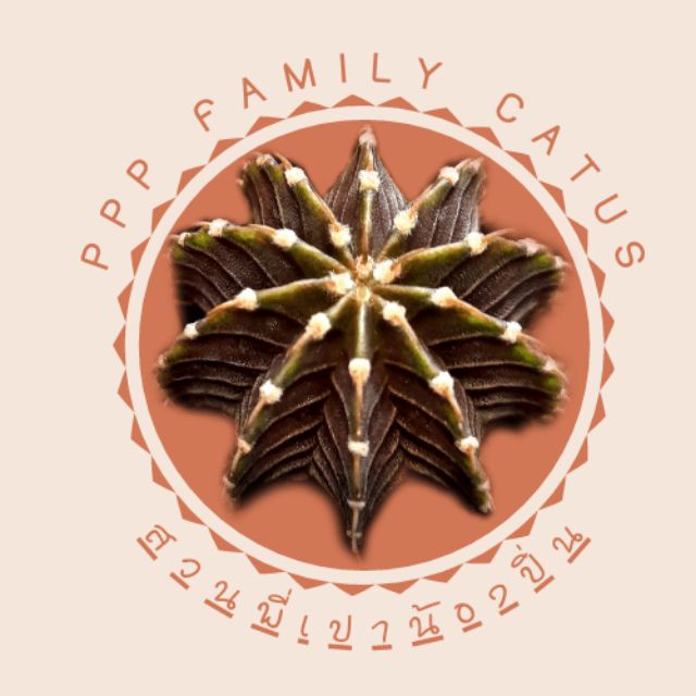 PPP FAMILY CACTUS, ร้านค้าออนไลน์ | Shopee Thailand