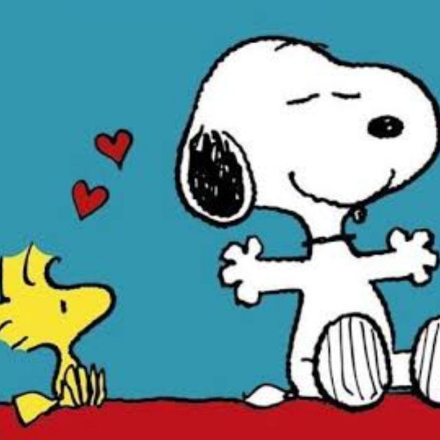 pp_family, ร้านค้าออนไลน์ | Shopee Thailand