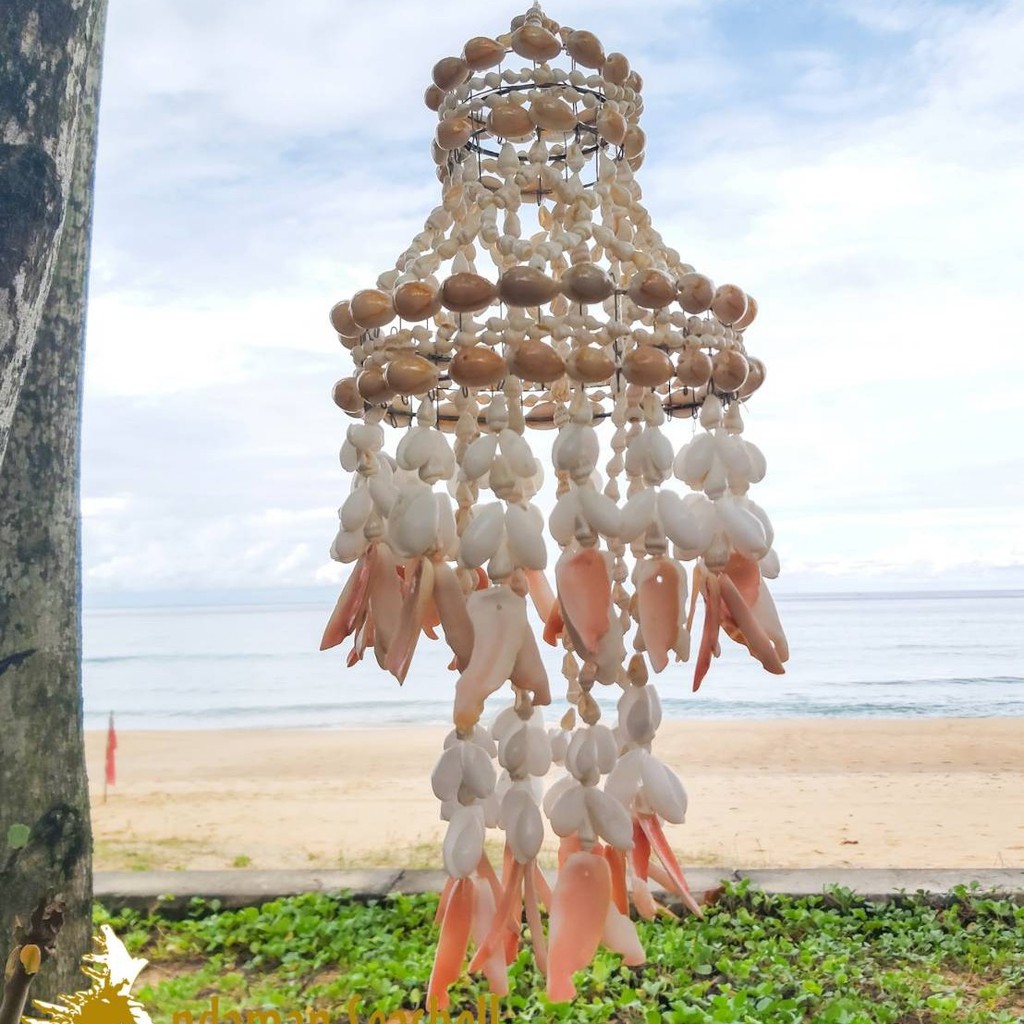 Andaman Seashell Shop, ร้านค้าออนไลน์ | Shopee Thailand
