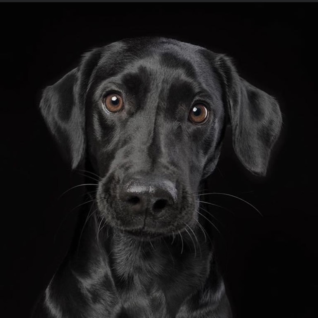 Kyky Shop, ร้านค้าออนไลน์ | Shopee Thailand