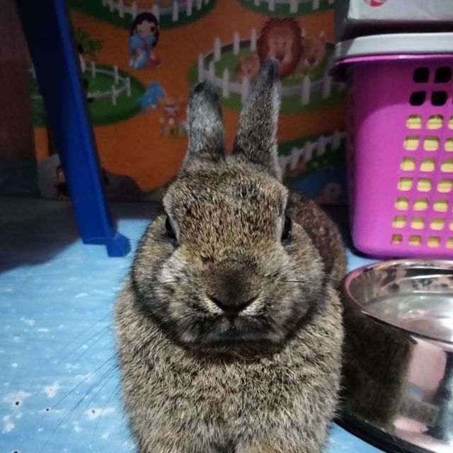 Aousa.sawong, ร้านค้าออนไลน์ | Shopee Thailand