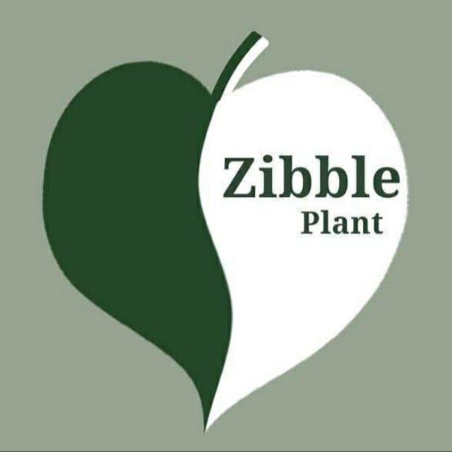 zibble.plant, ร้านค้าออนไลน์ | Shopee Thailand