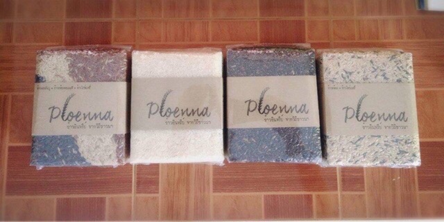 ข้าวเพลินนา Ploenna Rice, ร้านค้าออนไลน์ | Shopee Thailand