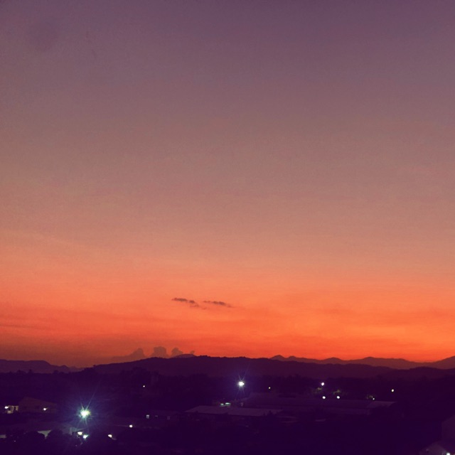 JJ Pharma, ร้านค้าออนไลน์ | Shopee Thailand