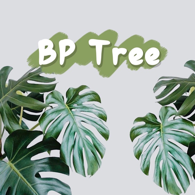 BP Tree, ร้านค้าออนไลน์ | Shopee Thailand