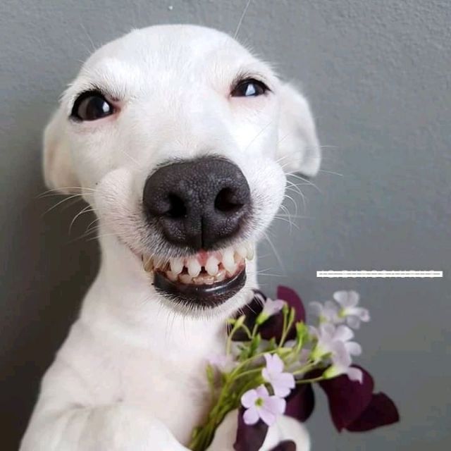 Good_d, ร้านค้าออนไลน์ | Shopee Thailand