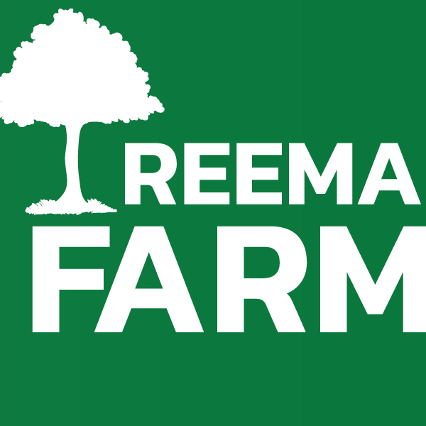 TreeMa, ร้านค้าออนไลน์ | Shopee Thailand