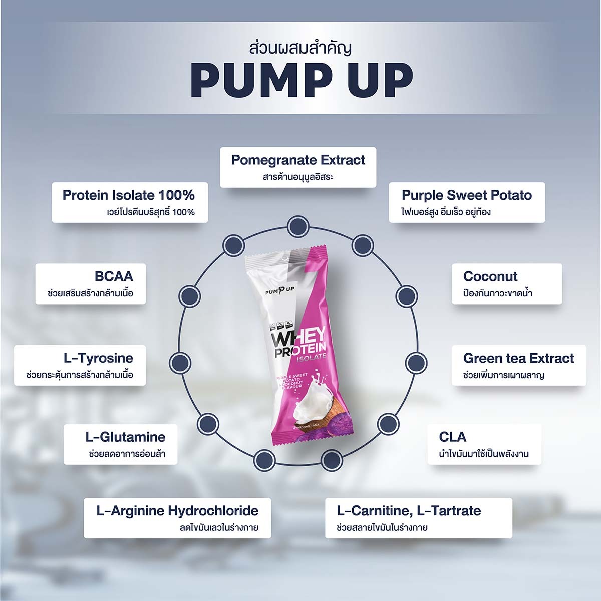PUMPUP.GLOBAL, ร้านค้าออนไลน์ | Shopee Thailand