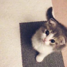 katxxx, ร้านค้าออนไลน์ | Shopee Thailand