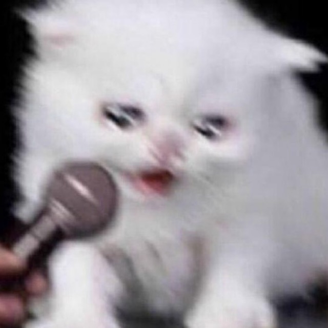 peachmepls, ร้านค้าออนไลน์ | Shopee Thailand