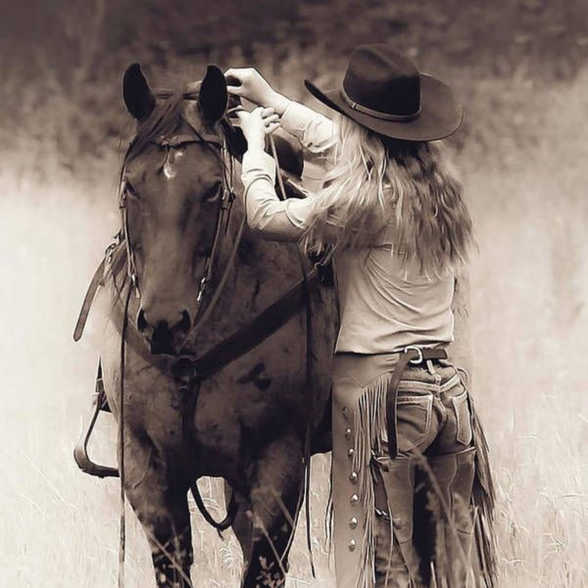 Spring Song, ร้านค้าออนไลน์ | Shopee Thailand