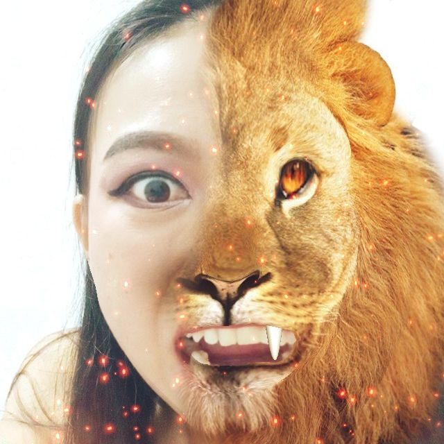 Wheel of Fortune, ร้านค้าออนไลน์ | Shopee Thailand