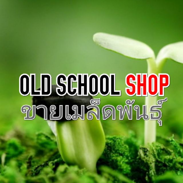 Old school shop, ร้านค้าออนไลน์ | Shopee Thailand