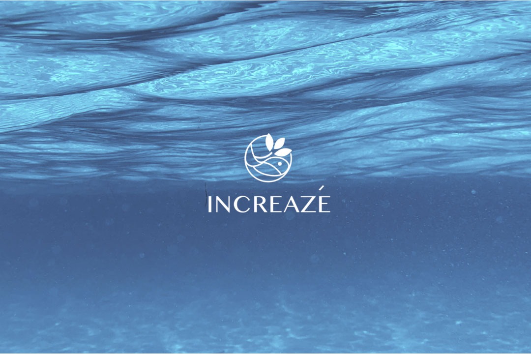 สั่งซื้อสินค้าออนไลน์จาก INCREAZE' | Shopee Thailand