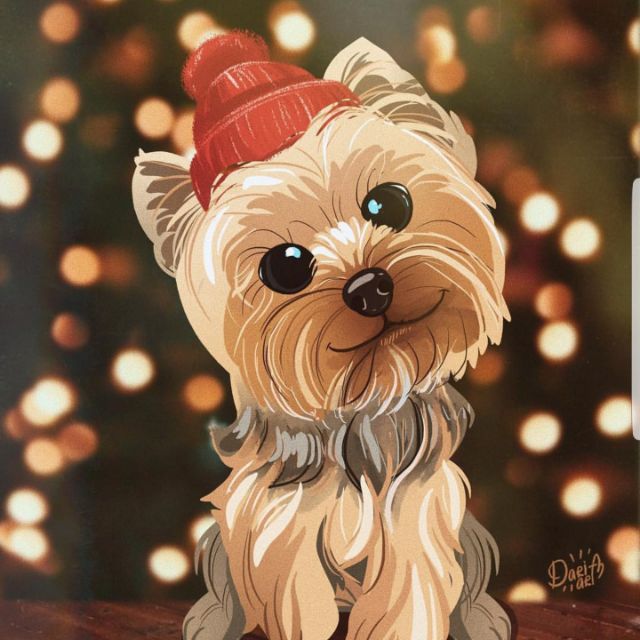 shyshy, ร้านค้าออนไลน์ | Shopee Thailand