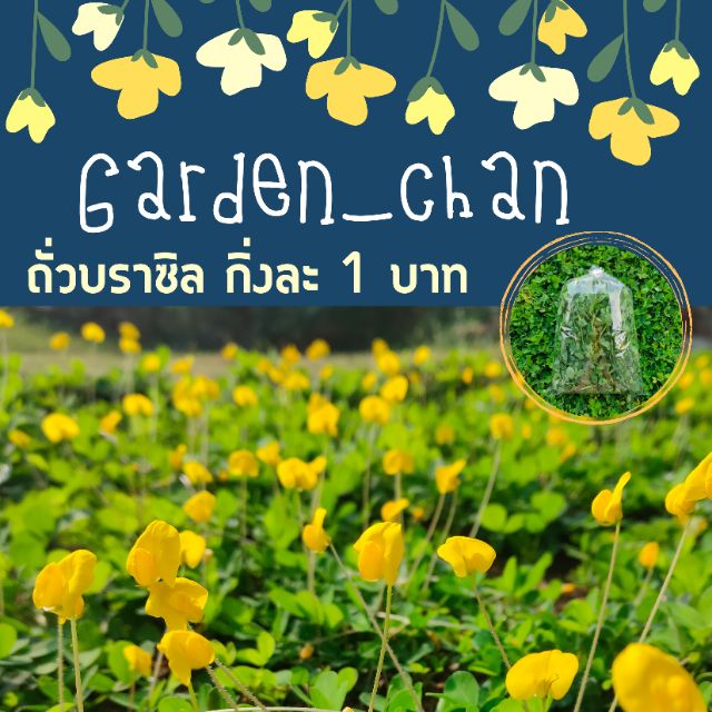 garden_chan, ร้านค้าออนไลน์ | Shopee Thailand
