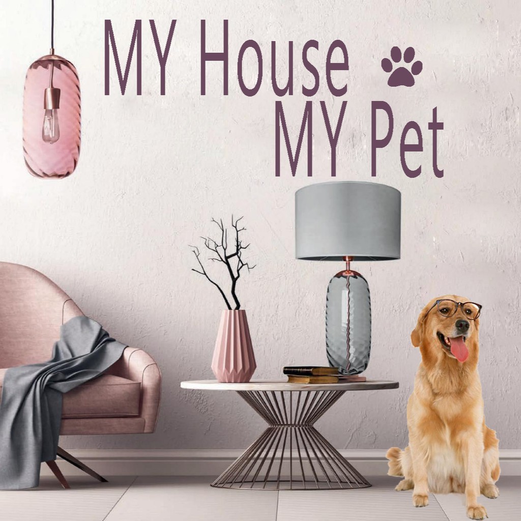 My House My Pet, ร้านค้าออนไลน์ | Shopee Thailand