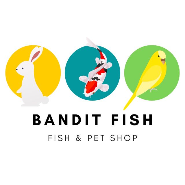 bandit.fish&pet shop, ร้านค้าออนไลน์ | Shopee Thailand